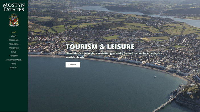 Mostyn Estates | Artificial Art | Digital Marketing